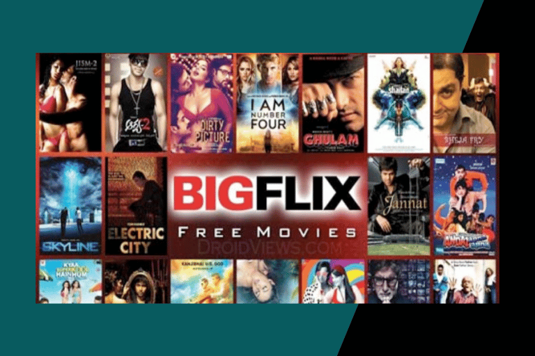 Online Hindi Movies: Free Sites (Top 5)